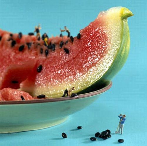 Hmm, yummy (14 photos) - Izismile.com