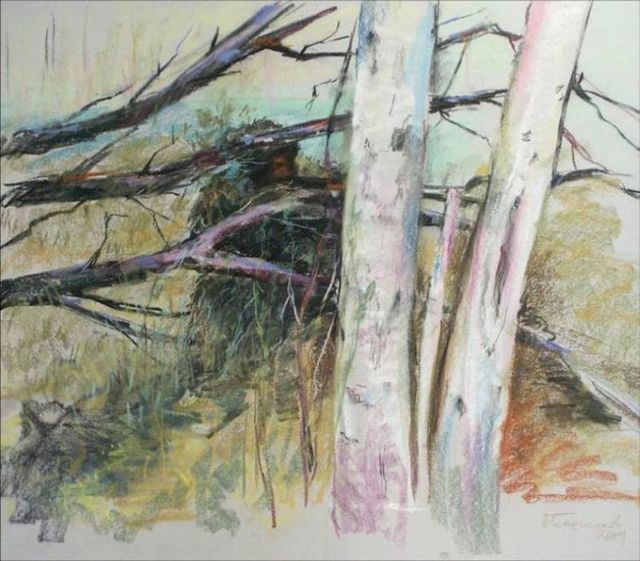 Drawings by Igor Bashmakov (33 photos) - Izismile.com