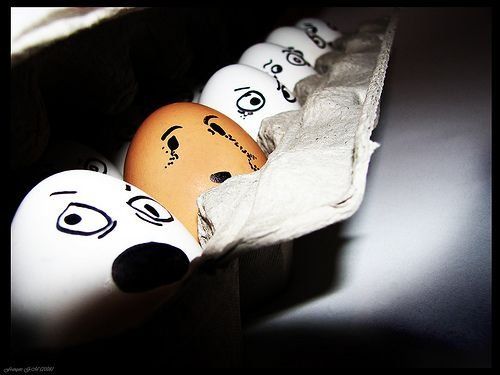 Funny eggs (10 photos) - Izismile.com