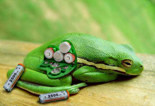 Creative stuff with batteries (17 photos) - Izismile.com