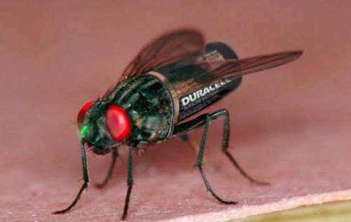 Creative stuff with batteries (17 photos) - Izismile.com